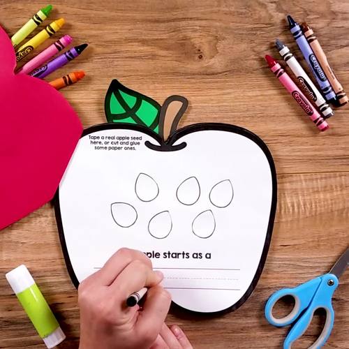 All About Apples Craft Book, Apple Activities for Kindergarten & First ...