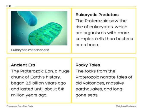 Clock of Eras Proterozoic Eon Companion Fact Cards by Minkybubs Montessori