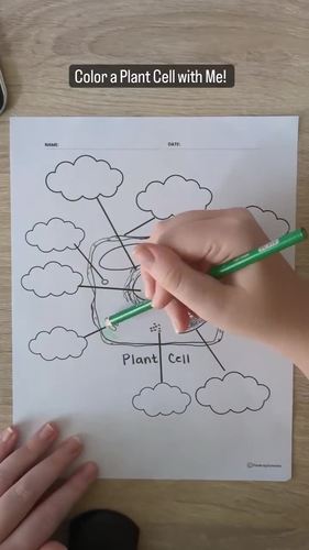Middle School Biology: Parts of a Plant Cell - Label and Color Activity