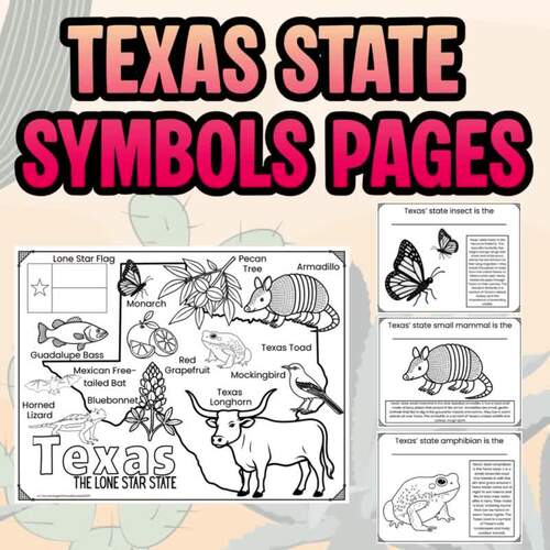 Texas' State Symbols Pages by Connecting with Social Studies | TPT