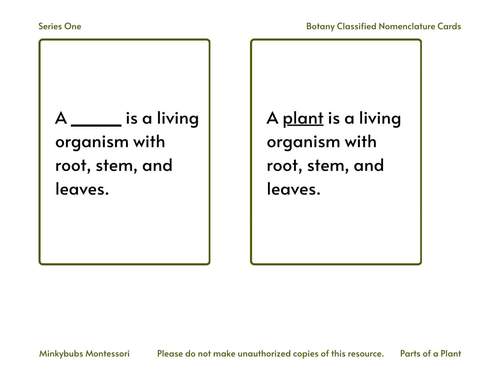 Montessori Botany Classified Nomenclature 3 Part Cards 1st Series Parts ...