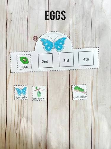 Butterfly Life Cycle Bundle- Spring by Liv and Leb | TpT