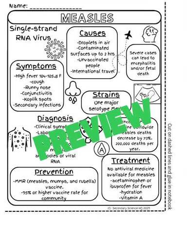 Measles Doodle Notes | Health | FACS | Communicable Diseases | TPT