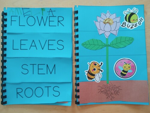 "Parts of a Plant" Flip Book by Cadie Pangie | TPT