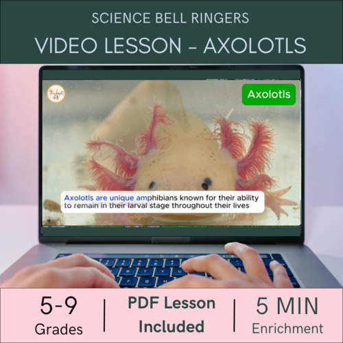 Science bell ringer video (4 min) - Axolotls - Middle school | TPT