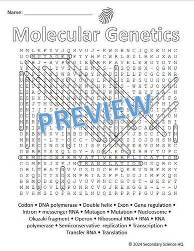 Molecular Genetics Vocabulary Wordsearch Puzzle | Early Finishers | Biology