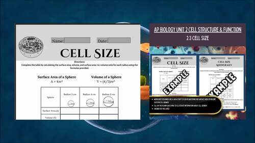 AP Biology UNIT 2 Cell Structure and Function 2.3 Cell Size Lab Worksheet
