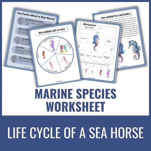 Seahorse Life Cycle Worksheet | Marine Animals Unit Study With Fun Facts!