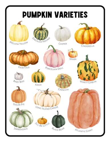 Pumpkin Unit Study, Autumn, Thanksgiving, Game, Art, ELA, Math, Science ...