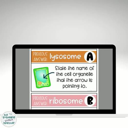 Cell Organelles Scavenger Hunt Activity | Plant and Animal Cells