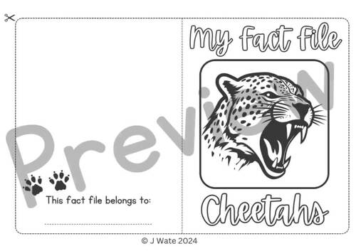 Fact File Research PROJECT Cheetahs Booklet Activity Pack & Mammals ...
