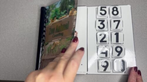 Zoo Counting Adapted Book / Zoo Counting Adaptive Book by Lagniappe Customs