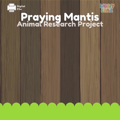 Praying Mantis Life Cycle Activity | Montessori Insect Metamorphosis ...