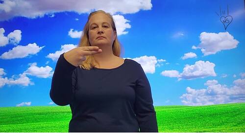 ASL Fingerspelling Video 28 by Melissa Sexton | TPT