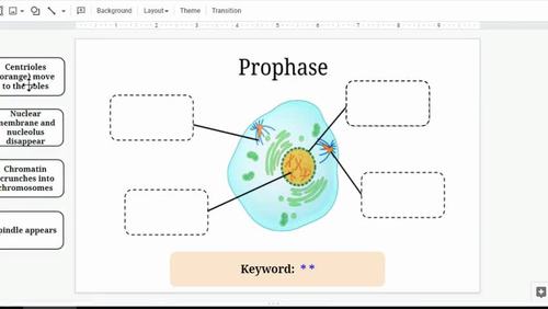 Mitosis and Cytokinesis Interactive Notes by iLearn Science | TPT