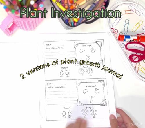 Plant Needs | Observe and Investigate {plant needs, parts of a seed ...