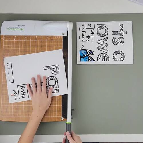 Parts of a Flower Science Anchor Chart (Poster, Collage, Mini Print)