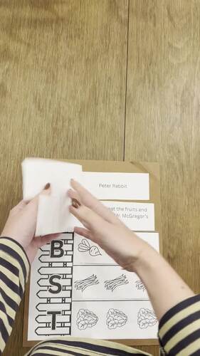 1st Grade CKLA Knowledge 1.9 The Tale of Peter Rabbit by ...