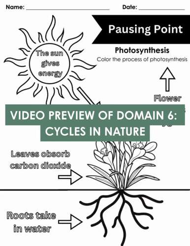 2nd Grade | Domain 2: Early Asian Civilizations | Lesson Activities and ...