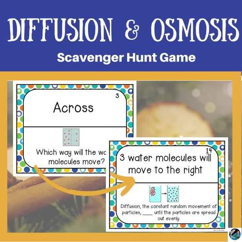 Diffusion and Osmosis Activity - Science Scavenger Hunt Game | TPT