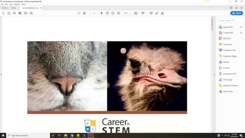 Careers With Animals Life Science Bundle - 130 pages! by Career In STEM