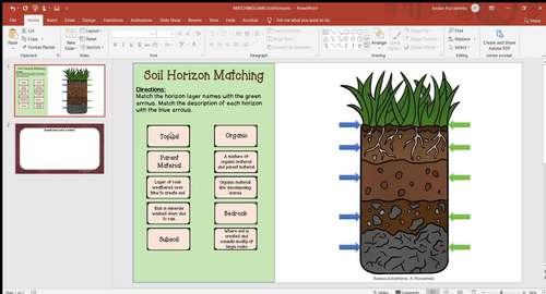 Digital Soil Horizon by Science Adventures - Kimberly Pucciariello