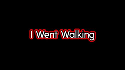 I Went Walking: An AAC CVI Adapted Core Word Adapted Book | TPT