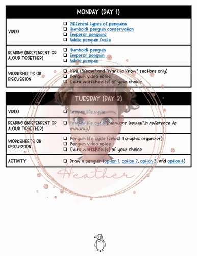 Penguin Unit Study | Lesson Plan and NO PREP Activities | Arctic Animals
