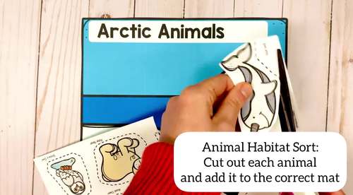 Animal Habitats Sorting Activities Preschool to Kindergarten | TPT