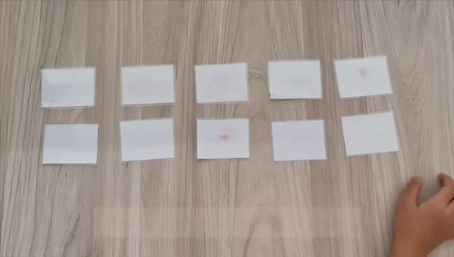 Fruits Memory Game Activities | Match Identical and Non-Identical Picture