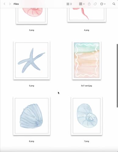 Watercolor Beach Clipart, Summer Coastal Sea Shells Modern Classroom Decor
