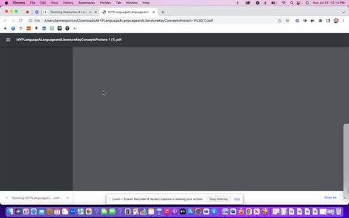 MYP Language A (Language and Literature) Related Concepts Posters