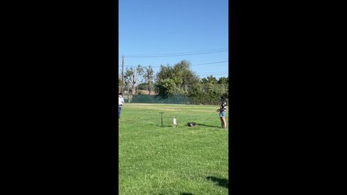 Project: Water Bottle Rockets, Free Fall and Kinematics - Physics