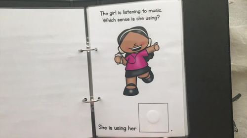 Our Five Senses Adapted Books for Special Education by Teaching Autism