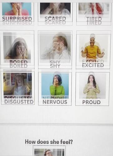 Tacting/Receptively identify Feelings - Assessment and Programing