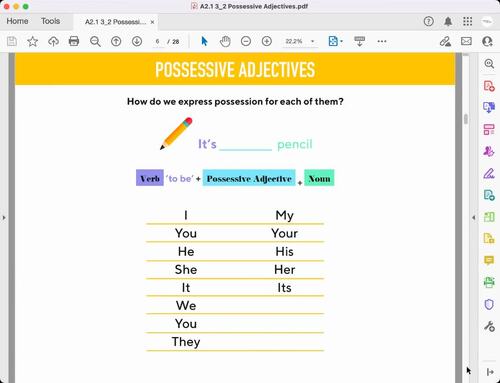 ESL Elementary Lesson: Learn Possessive Adjectives in English | TPT