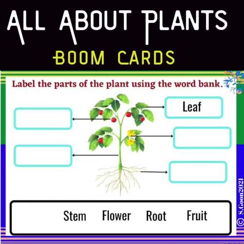 All About Plants Boom Cards for Distance Learning by Disha Digital School