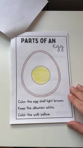 Life Cycle of a Chicken Journal by Carrie's Corner | TPT