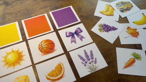 Montessori Color Sorting Game: 12-Color Recognition and Matching Activity