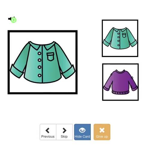 Laundry Life Skills Vocational Picture to Word Match Boom Cards 2