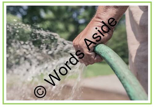 Vocabulary Flashcards Language ESL Speech Sped by Words Aside | TPT