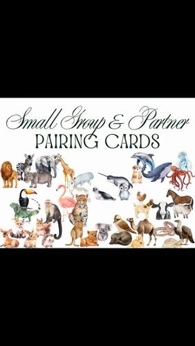 Small Group and Partner Pairing Cards - Animals (printable) | TPT