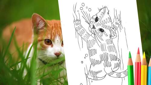 Cat Is All Over The Place Funny and Cute Coloring Book Page For Kids