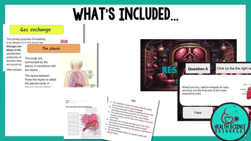 Respiratory System Unit Bundle: PPT slides, Activities | TPT