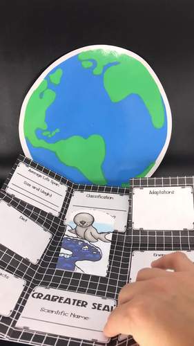 Arctic Animals Research Foldable Project and Editable Rubric- Exploding Box