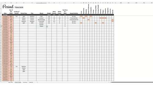 Period Tracker Excel Spreadsheet by Mom Money Map | TPT