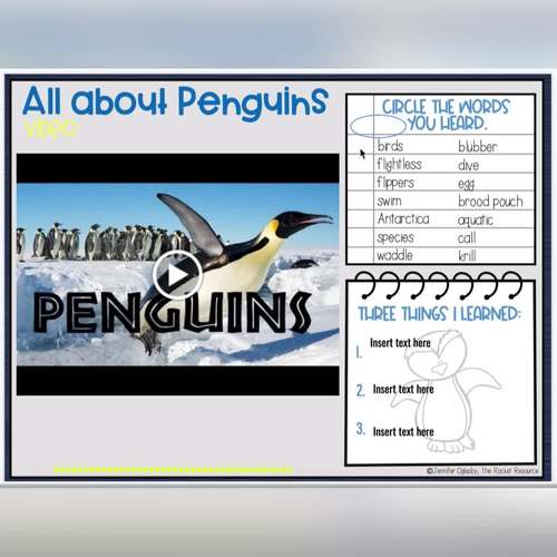 Penguin Facts Worksheets | Life Cycle Parts Types Research Vocabulary ...