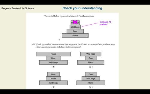 NYS Life Science Biology Regents Review: Engineering Design by Creating ...