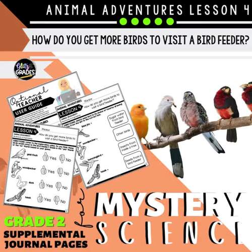 Mystery Science 2nd Grade SUPPLEMENT Animal Adventures Lesson 4 ...