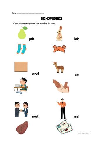 Easy Homophones 1st - 3rd Grade by ZanDri Education Zone | TPT